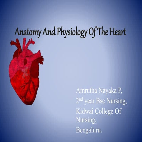 Cardiovascular system of goat | DOCX