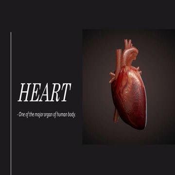5 Interesting Heart Facts You Must Know | PPTX