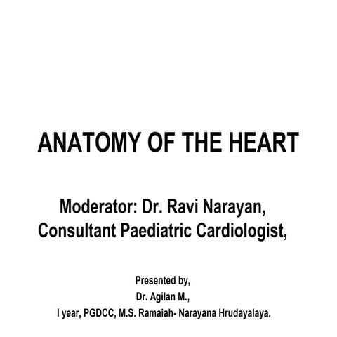 Heart anatomy written copy | PPT