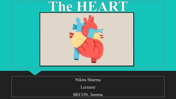 Types of circulation | PPT