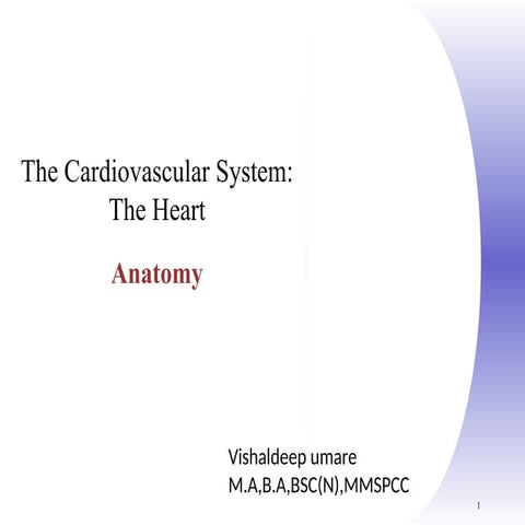 Heart anatomy | PPT