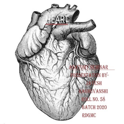 Right atrium of heart | PPTX