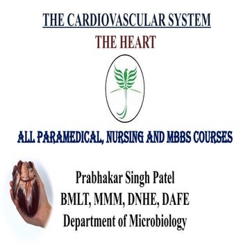 The Cardiovascular System !! The Heart !! Anatomy & Physiology ...