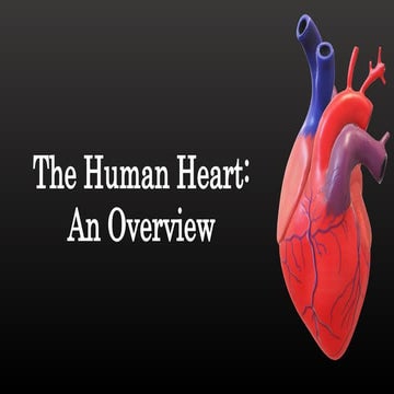 A PRESENTATION ON THE WORKING OF THE HUMAN HEART | PPTX