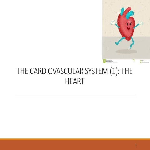 Cardiovascular system of goat | DOCX