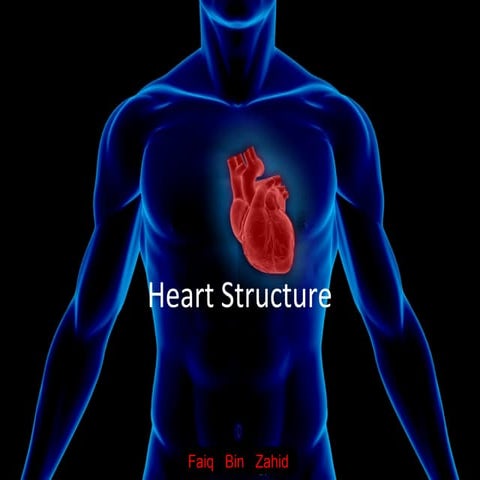 Heart Structure and Function | PPT