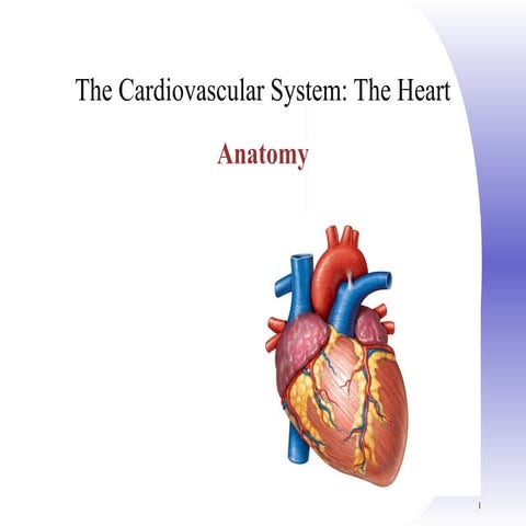 Ppt on heart cardiovascular system and medical | PPTX