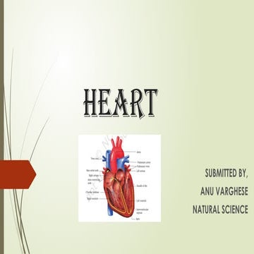 HEART PPT PRESENTATION NATURAL SCIENCE OPTIONAL | PPT