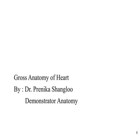 heart 1Anatomy.pptx