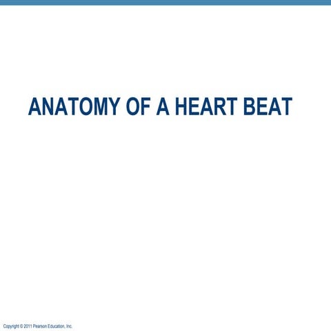 Heart 2 online | PPT