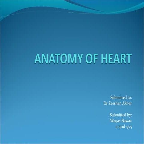 Blood vessels: Arteries, Veins and Capillaries | PPTX