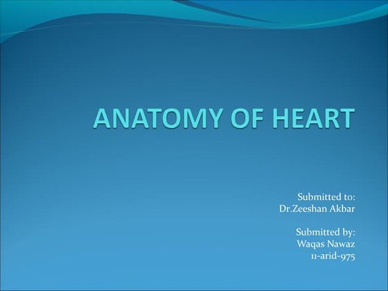 Human heart | PPT