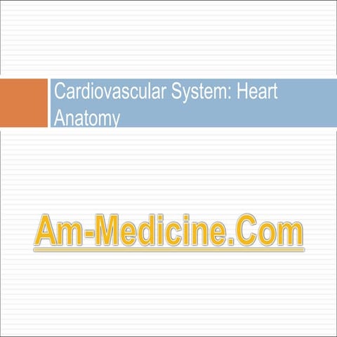 Anatomy & Physiology Lecture Notes - Heart anatomy | PPT