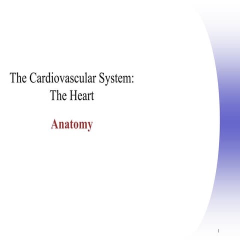heart anatomy.ppt