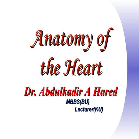 Heart anatomy (1).ppt anatomy of the heart | PPT