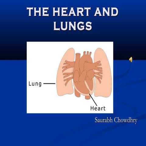 Heart and Lungs | PPT