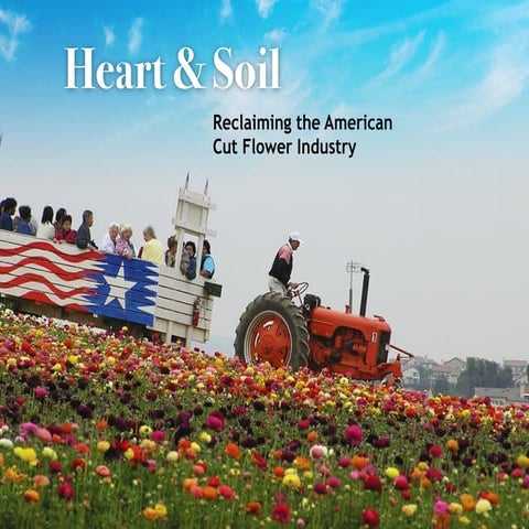 Heart & Soil | PPT