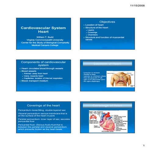 Medical_Terminology_Cardiovascular.ppt