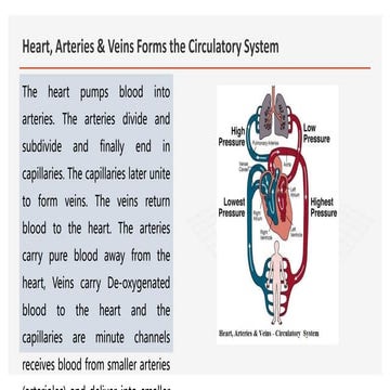 Heart, Arteries _ Veins Forms the Circulatory | PPTX