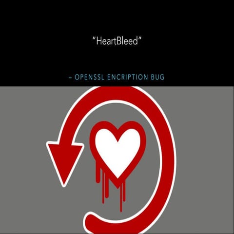 HeartBleed | PDF