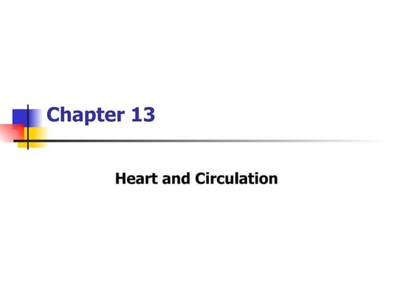 DOUBLE CIRCULATION - POWERPOINT | PPTX