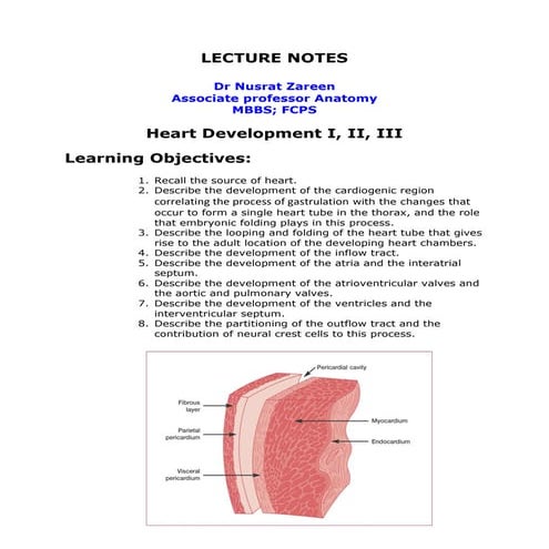 Development of Heart (Embryology) | PPTX