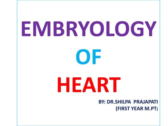 ECG Basics | PDF