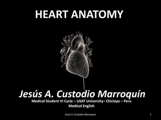 Human heart | PPT