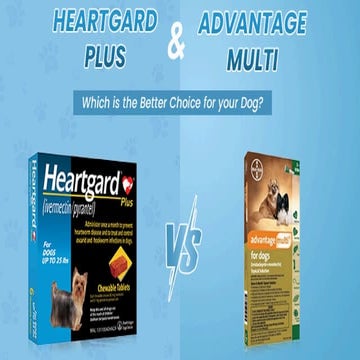 Heartgard Plus vs. Advantage Multi: Which is the Better Choice for your ...