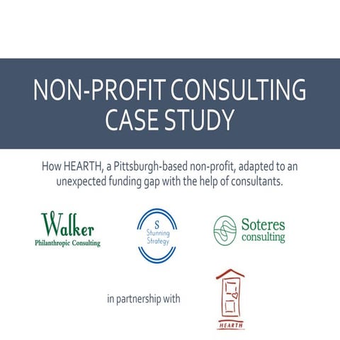 Non-Profit Consulting Case Study | PDF