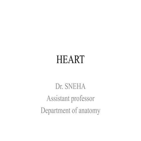 heart intro.pptx full introduction about the heart | PPTX