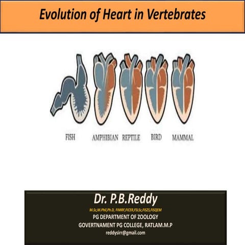 Dissection of Rabbit.pptx