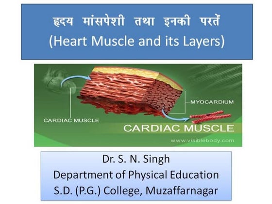 Muscular function by S.N. Singh | PPT