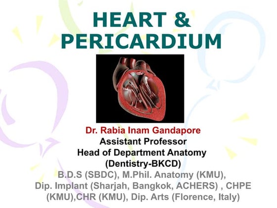 Post lab guide heart dissection student | PPT