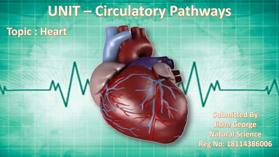 Basic Cardiovascular System Anatomy .pptx