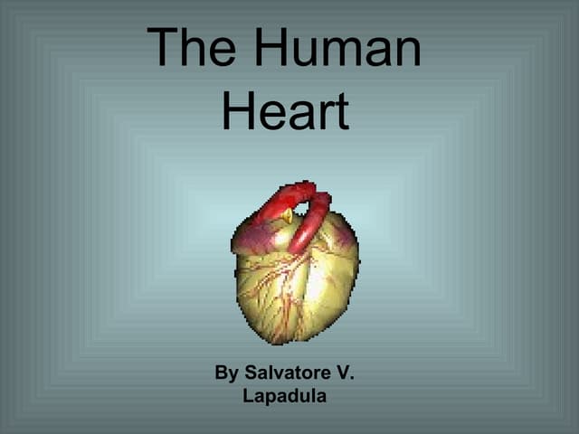 Structure and function of heart by Shashank Bandre Class 10 CBSE | PPTX