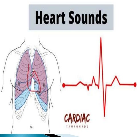 HEART SOUND.pdf