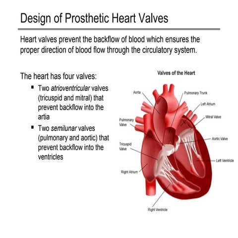 Heart valves | PPT
