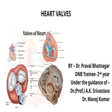 ANATOMY OF HEART VALVES AND PROSTHETIC VALVES.pptx