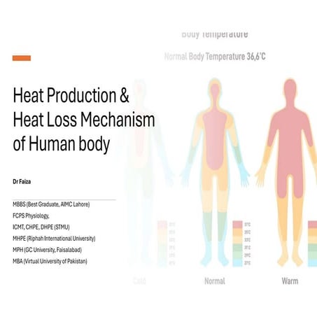 Heat Production & Heat Loss Mechanisms in Human Body | PDF