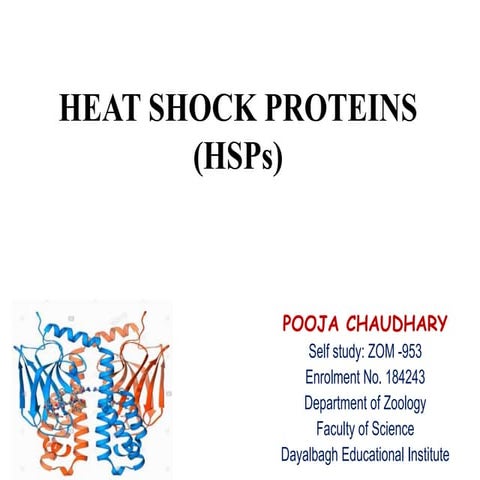 Heat shock proteins presentation | PPTX