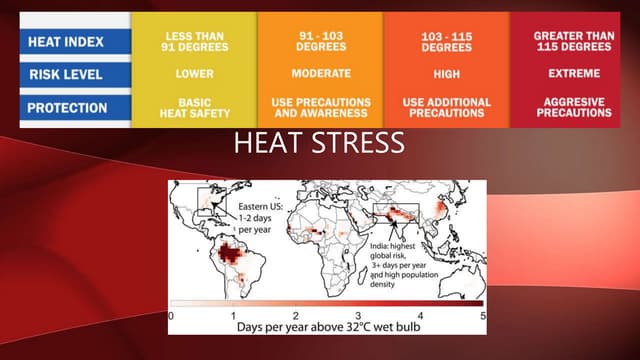 -- Heat Stress -- Training PPT | PDF