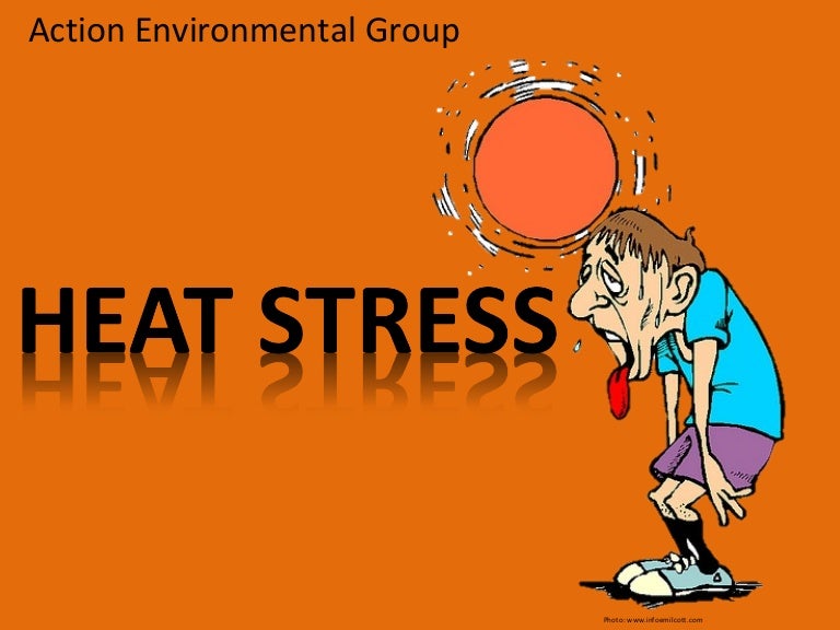 Heat Stress Safety Guide - Action Environmental Group