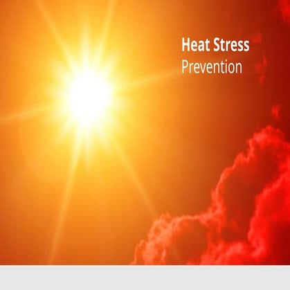 Heat Stress Prevention - English PowerPoint | PPTX