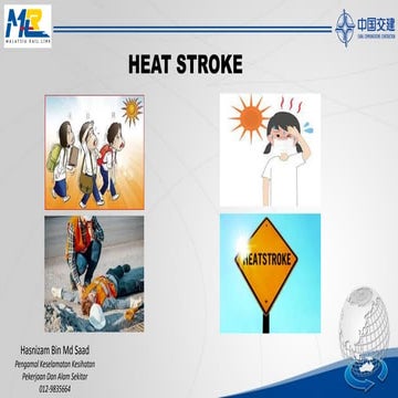 Heat Stroke | PDF