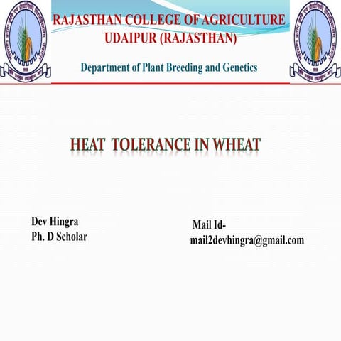 Heat tolerance in wheat | PPTX
