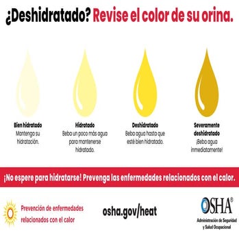 Heat_Urine Chart_Spanish.pdf