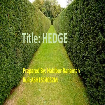Hedge | PPTX