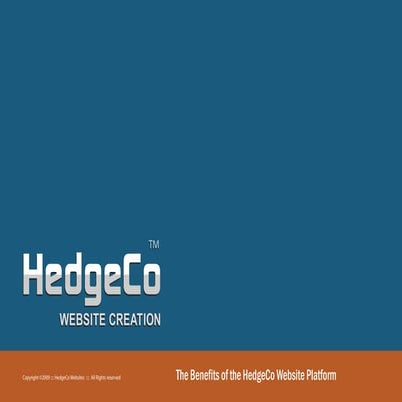 HedgeCo Websites Brochure 2009 | PDF