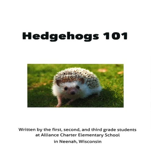 Hedgehogs 101 | PDF